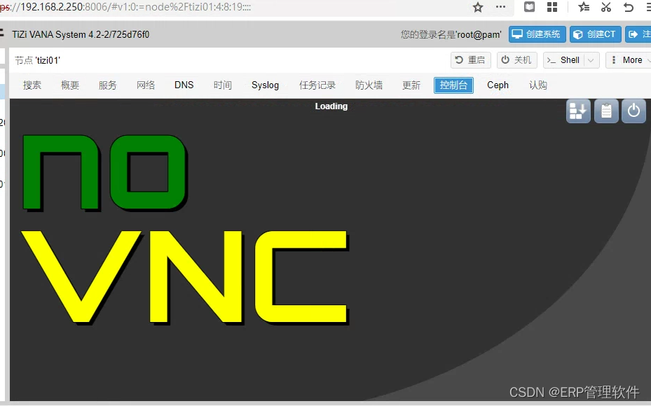 【TIZI】霆智服务器登录控制太后，显示no VNC-CSDN博客