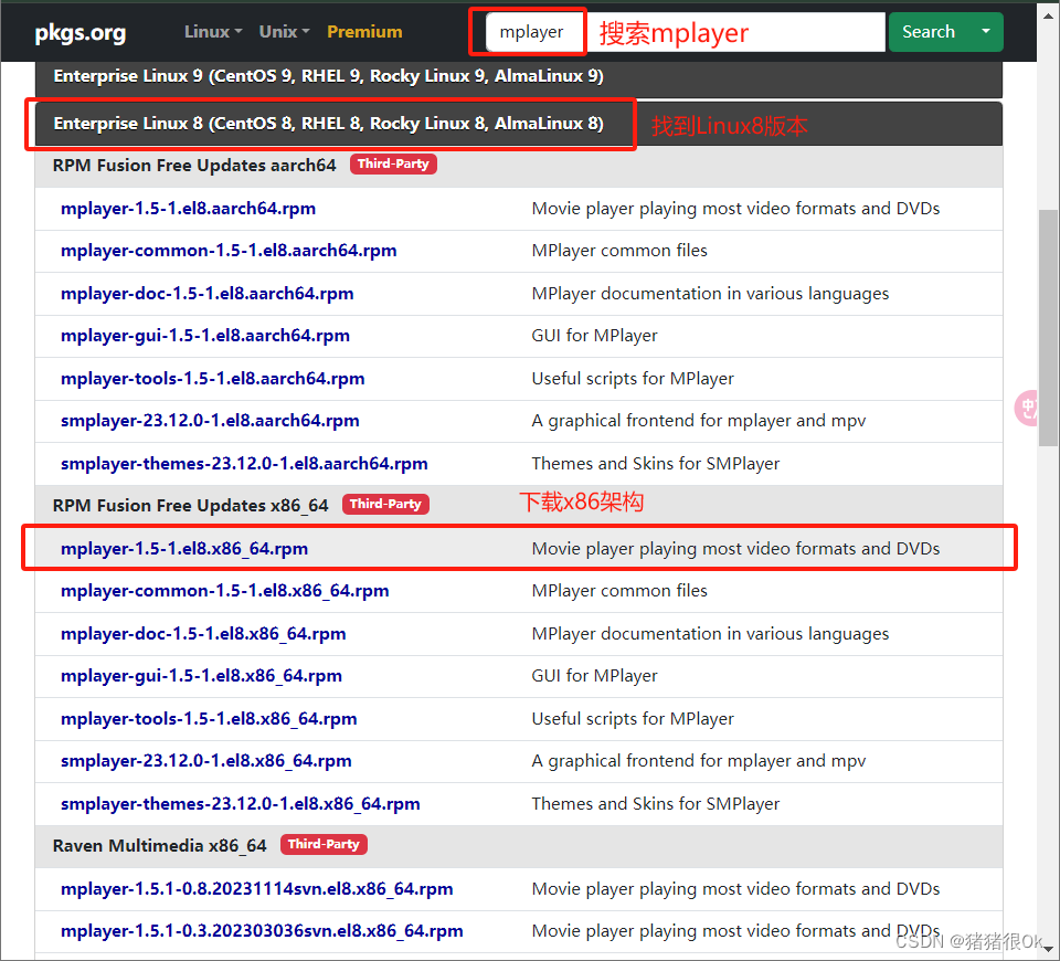 实验：基于Red Hat Enterprise Linux系统下安装mplayer_red hat视频播放器mplayer的源码安装-CSDN博客
