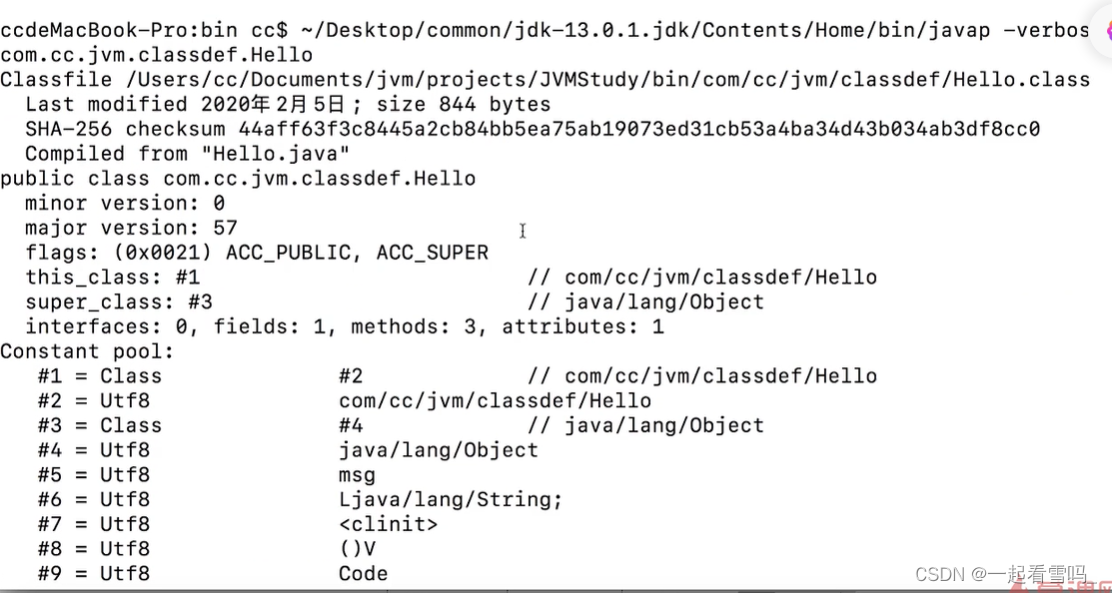 【JVM】Class文件的格式_class文件数字格式-CSDN博客
