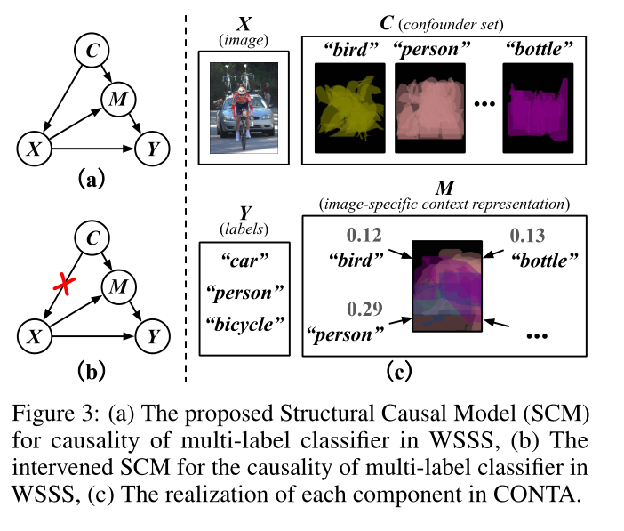 【论文阅读】Causal Intervention for Weakly-Supervised Semantic Segmentation-CSDN博客