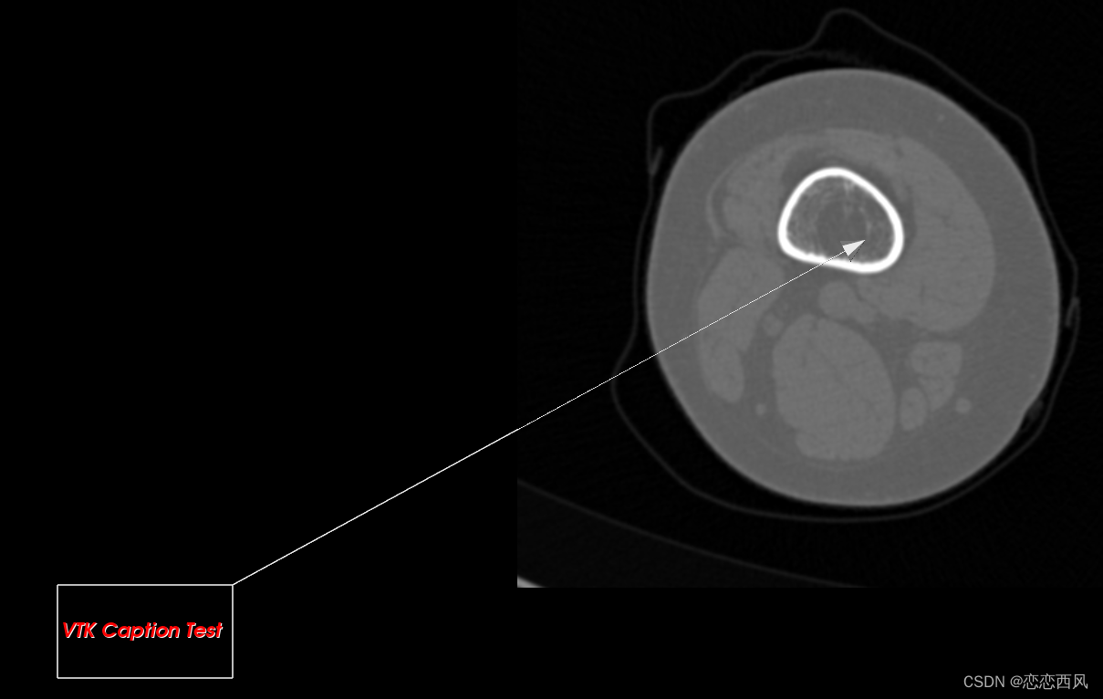 VTK 标注类Widget 文字标注 vtkCaptionWidget-CSDN博客