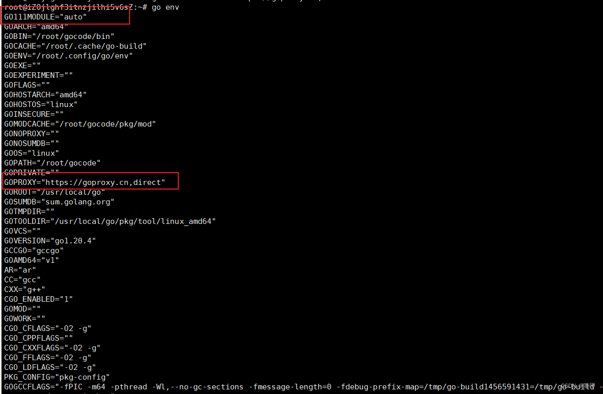 Linux+VSCode搭建Golang开发环境_linux下vscode搭建golang开发环境-CSDN博客