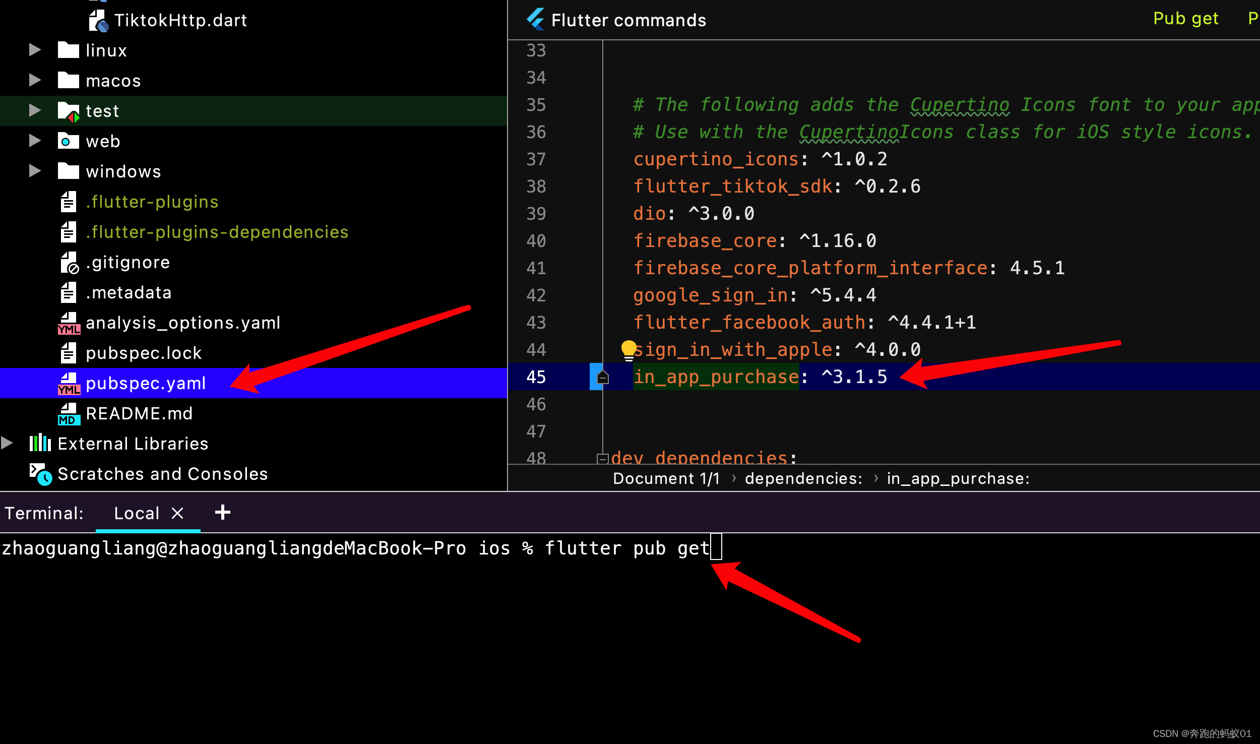 【原创 附源码】Flutter集成Apple支付详细流程(附源码)_flutter apple pay-CSDN博客