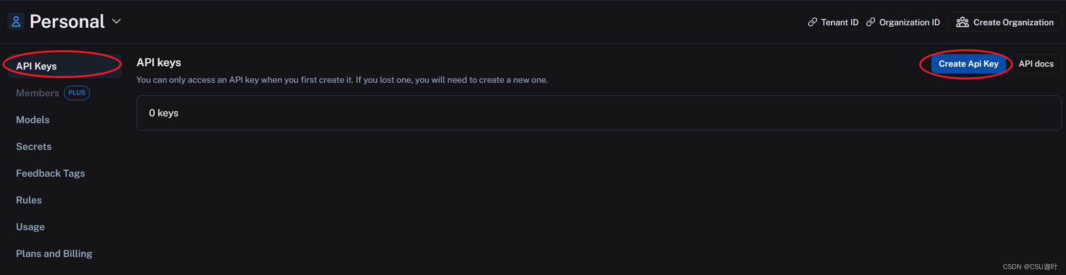 使用LangSmith：从创建API密钥到自动化OpenAI调用和追踪示例,-CSDN博客
