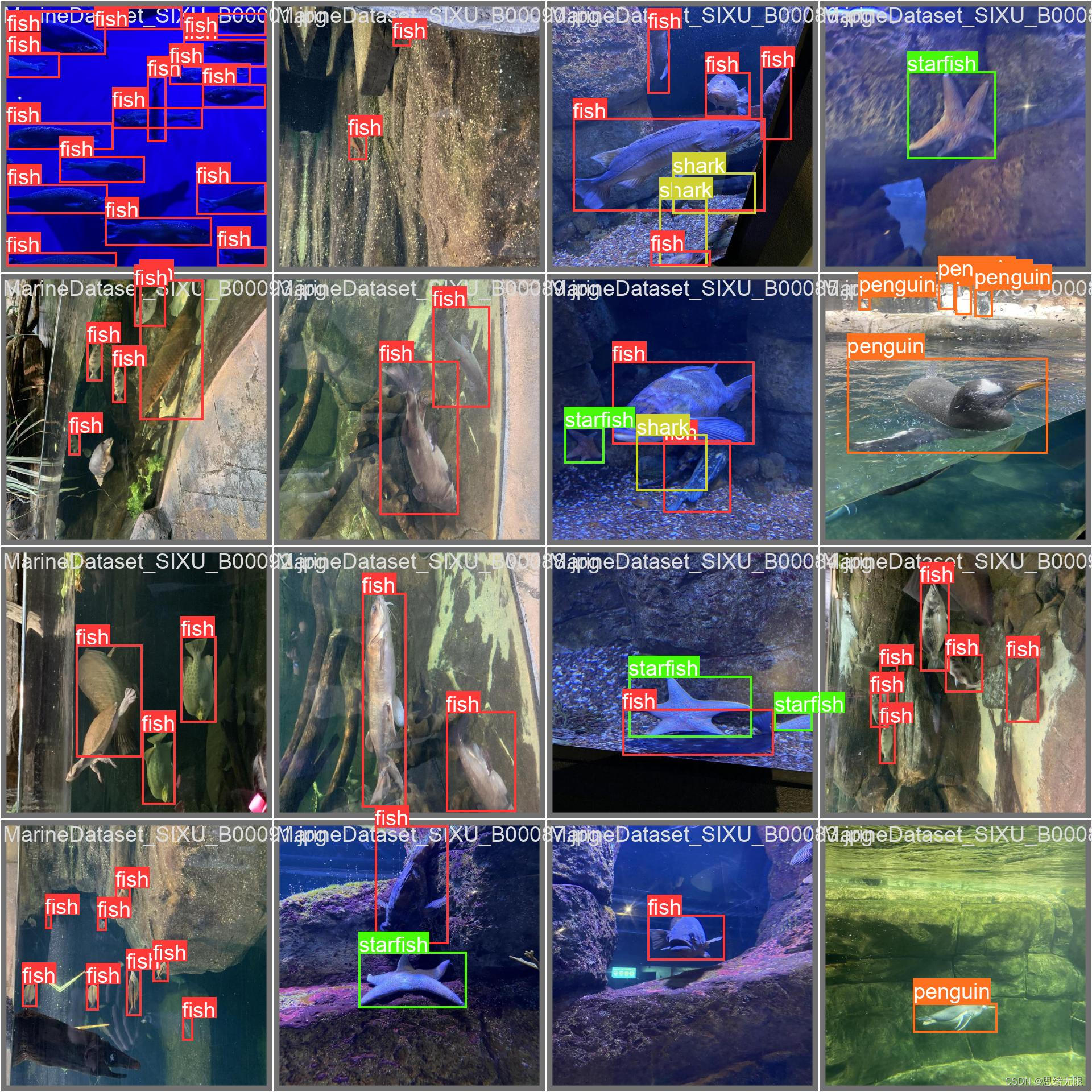 基于YOLOv8/YOLOv7/YOLOv6/YOLOv5的海洋动物检测系统（Python+PySide6界面+训练代码）_目标检测_思绪无限-2048 AI社区