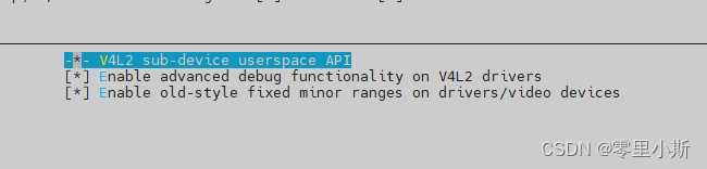 Linxu内核——内核添加V4L2_v4l2安装-CSDN博客