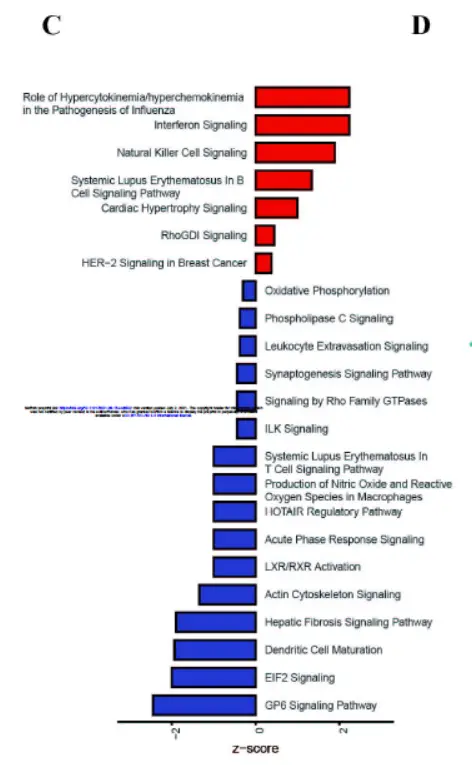 10X空间转录组分析之转录组信息 & 空间位置的联合分析（SEDR）_sedr代码-CSDN博客
