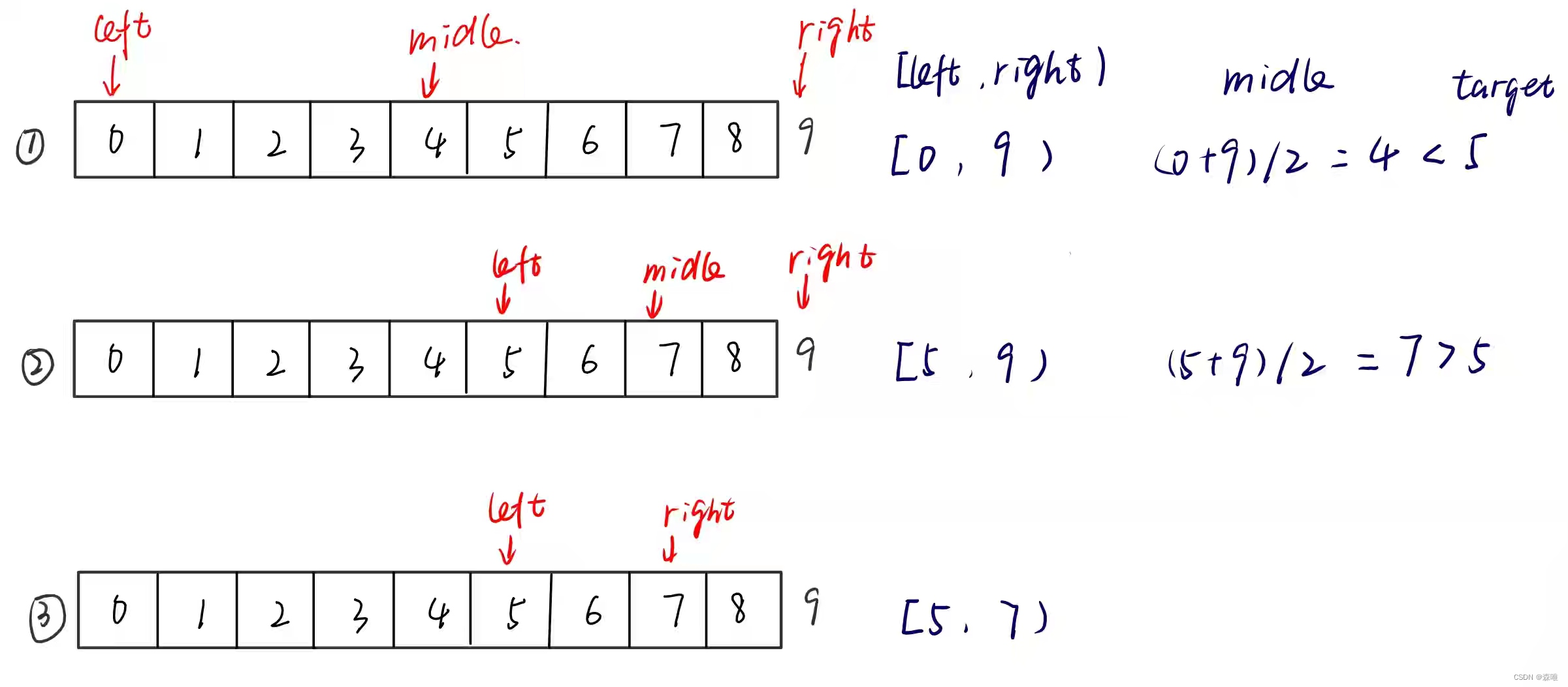 day1-704.二分查找|27. 移除元素-CSDN博客