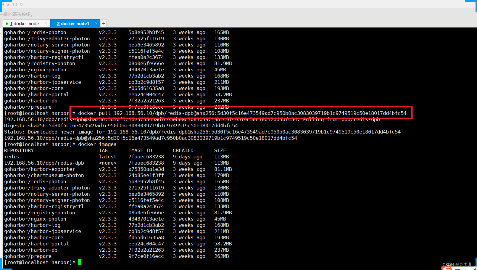 Docker[7]- 阿里云Docker Registry和私服Harbor-CSDN博客