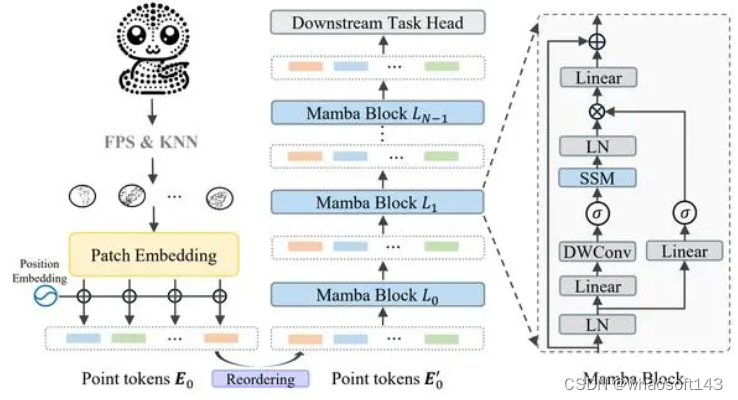 PointMamba-CSDN博客