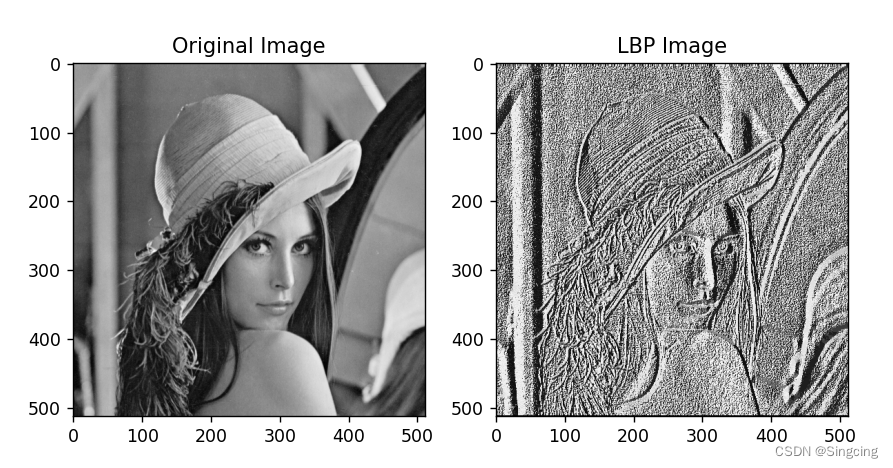 Python实现局部二进制算法(LBP)_python lbp-CSDN博客