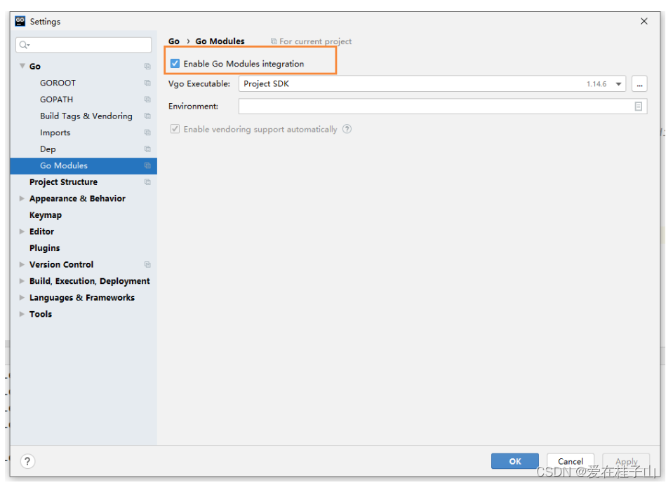 2.Gin内容介绍_cannot use func() {…} (value of type func()) as ty-CSDN博客