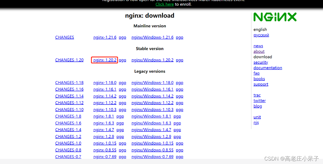 centos6.8 安装nginx_centos6.8安装nginx教程-CSDN博客