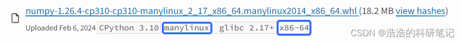 将python库下载到本地安装—Pypi官网wheel版本选择详解—小白详解版_musllinux和manylinux-CSDN博客