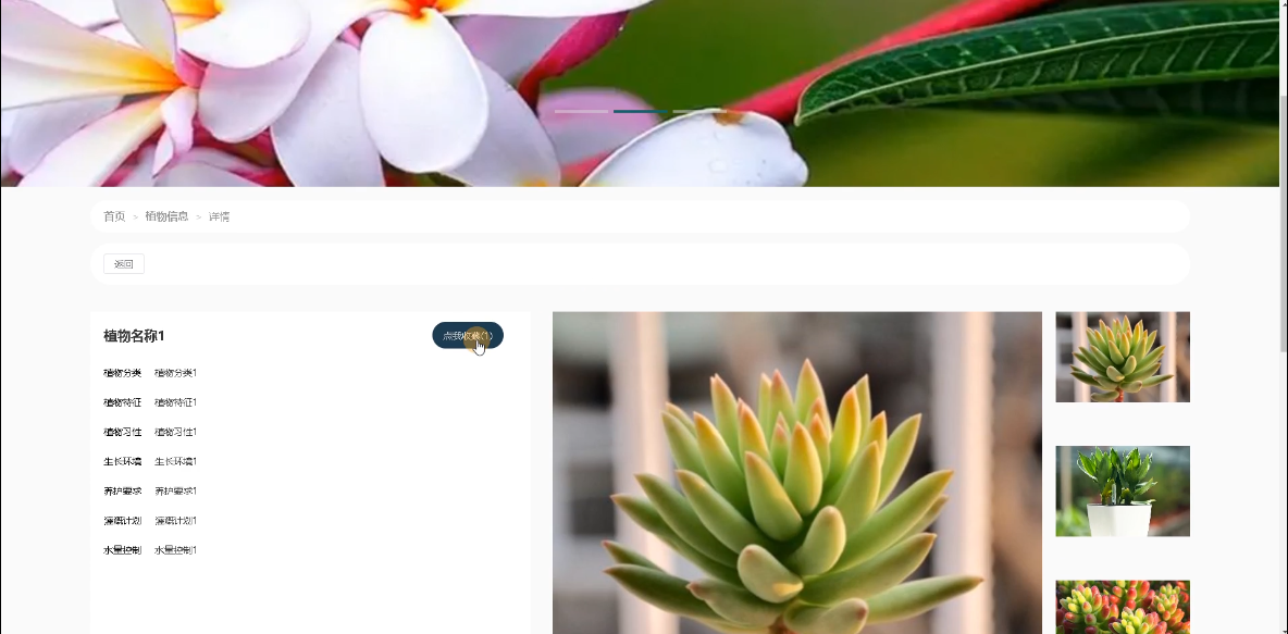基于springbootvue 花开富贵”花园管理系统设计和实现源码lw部署讲解springbootvue花卉项目案例 Csdn博客