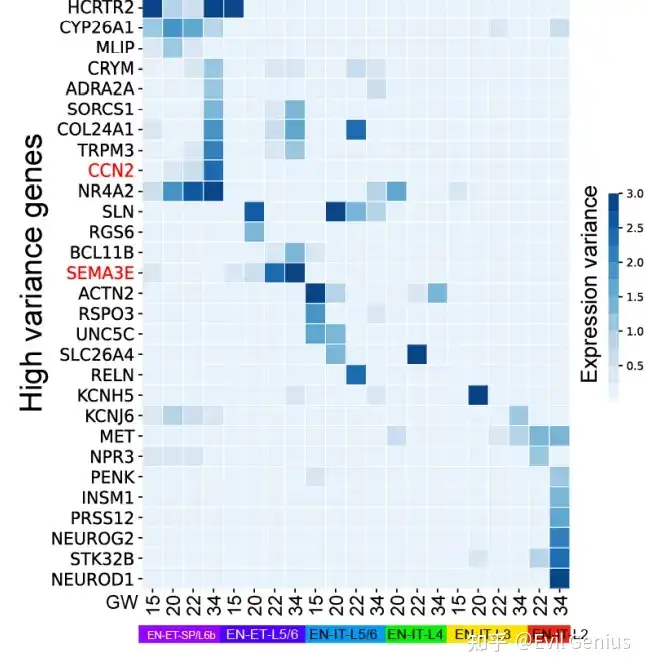 空间转录组cell niche（流程试用版）_seurat niche-CSDN博客