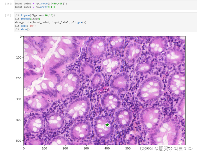 CV | Segment Anything论文详解及代码实现-CSDN博客