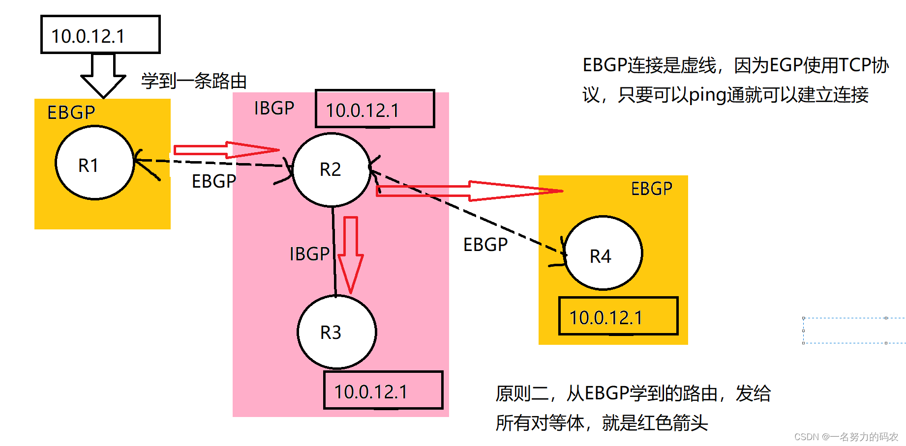 BGP学习二：BGP通告原则，BGP反射器，BGP路径属性细致讲解，新手小白无负担-CSDN博客