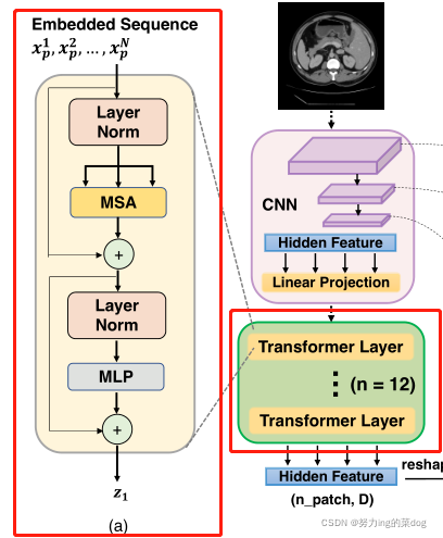 TransUNet：Transformers Make Strong Encoders for Medical Image ...