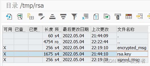 示例 在 ABAP 中使用自己的 RSA 实现 RSA Encryption in ABAP_abap rsa解密需要的配置-CSDN博客