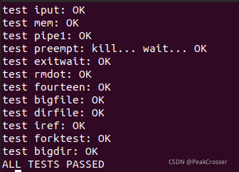 [MIT 6.S081] Lab 6: Copy-on-Write Fork for xv6_xv6 lab cow-CSDN博客