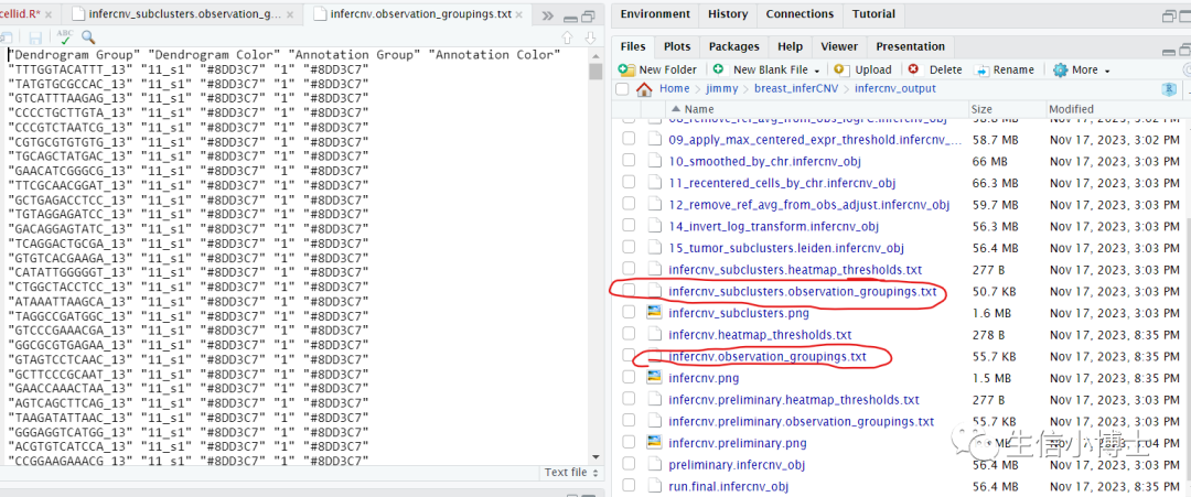 infercnv 三回首：深入理解infercnv为何能发nature-CSDN博客