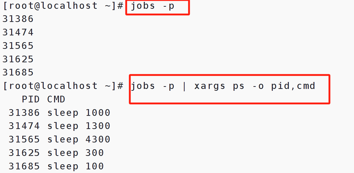Linux 【jobs 命令】后台运行的工作_linux jobs - +运行中-CSDN博客
