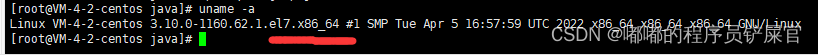 Linux centos7.0搭建Java开发环境(保姆级教程)_centos7 java-CSDN博客