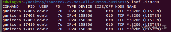 python3 gunicorn配置文件详解-CSDN博客