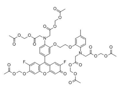 273221-67-3，Fluo-4AM，钙荧光探针Fluo-4, AM，绿色荧光钙指示剂，与细胞内钙离子结合后可以产生较强的荧光-CSDN博客