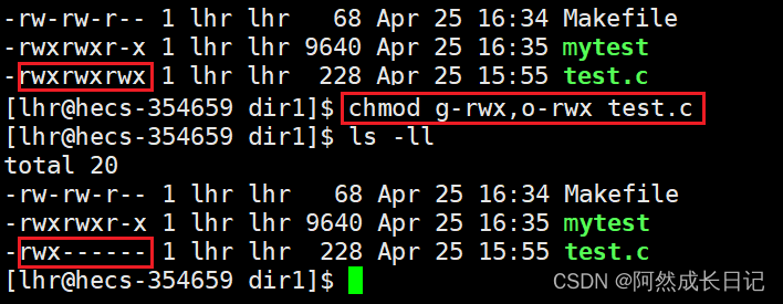 【Linux】权限（rwx）及chmod、chown、chgrp修改权限等指令详解!-CSDN博客