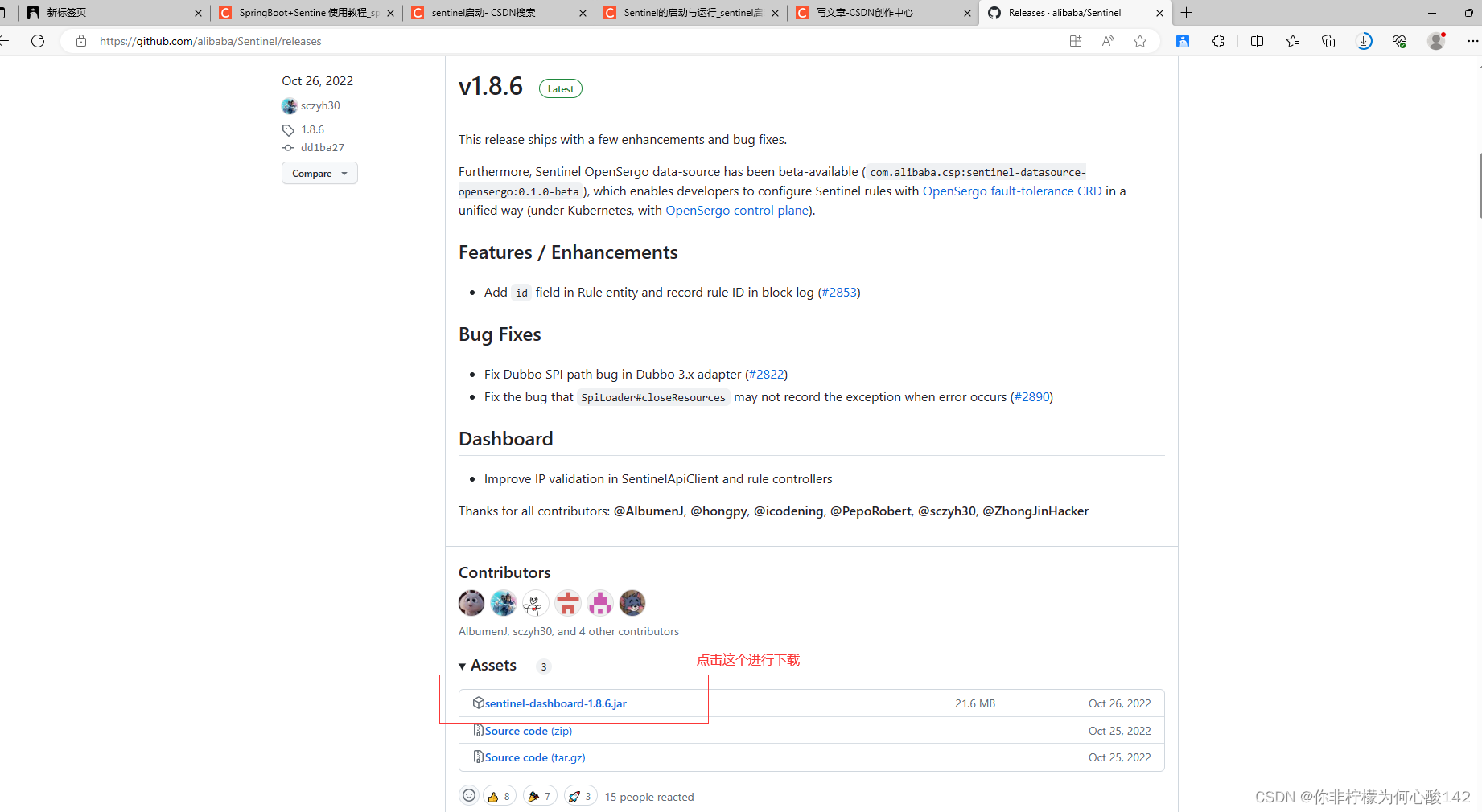 sentinel的启动与运行_sentinel-dashboard-1.8.6.jar-CSDN博客