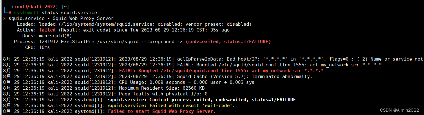 如何在Debian(kali)中配置代理(agent)服务器？_debian 代理-CSDN博客