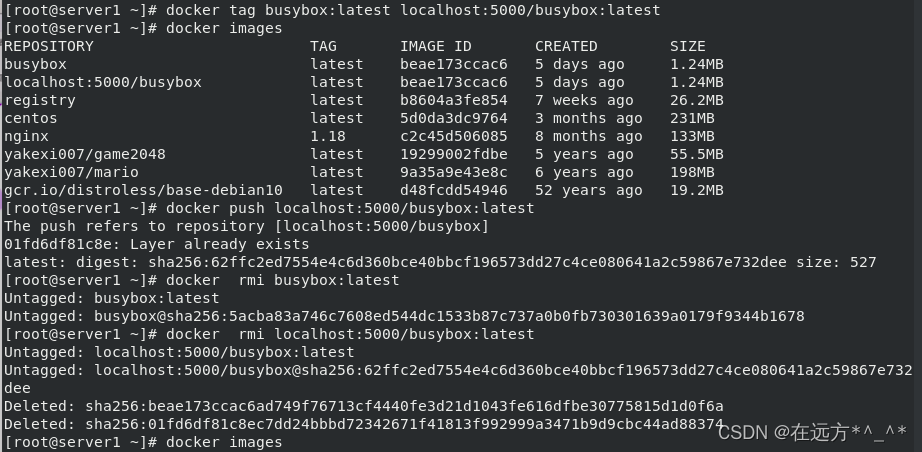 docker(2)——docker仓库之Registry、harbor仓库_docker register-CSDN博客