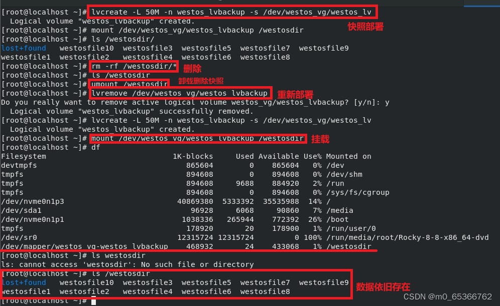 Linux存储管理：LVM与VDO详解-CSDN博客