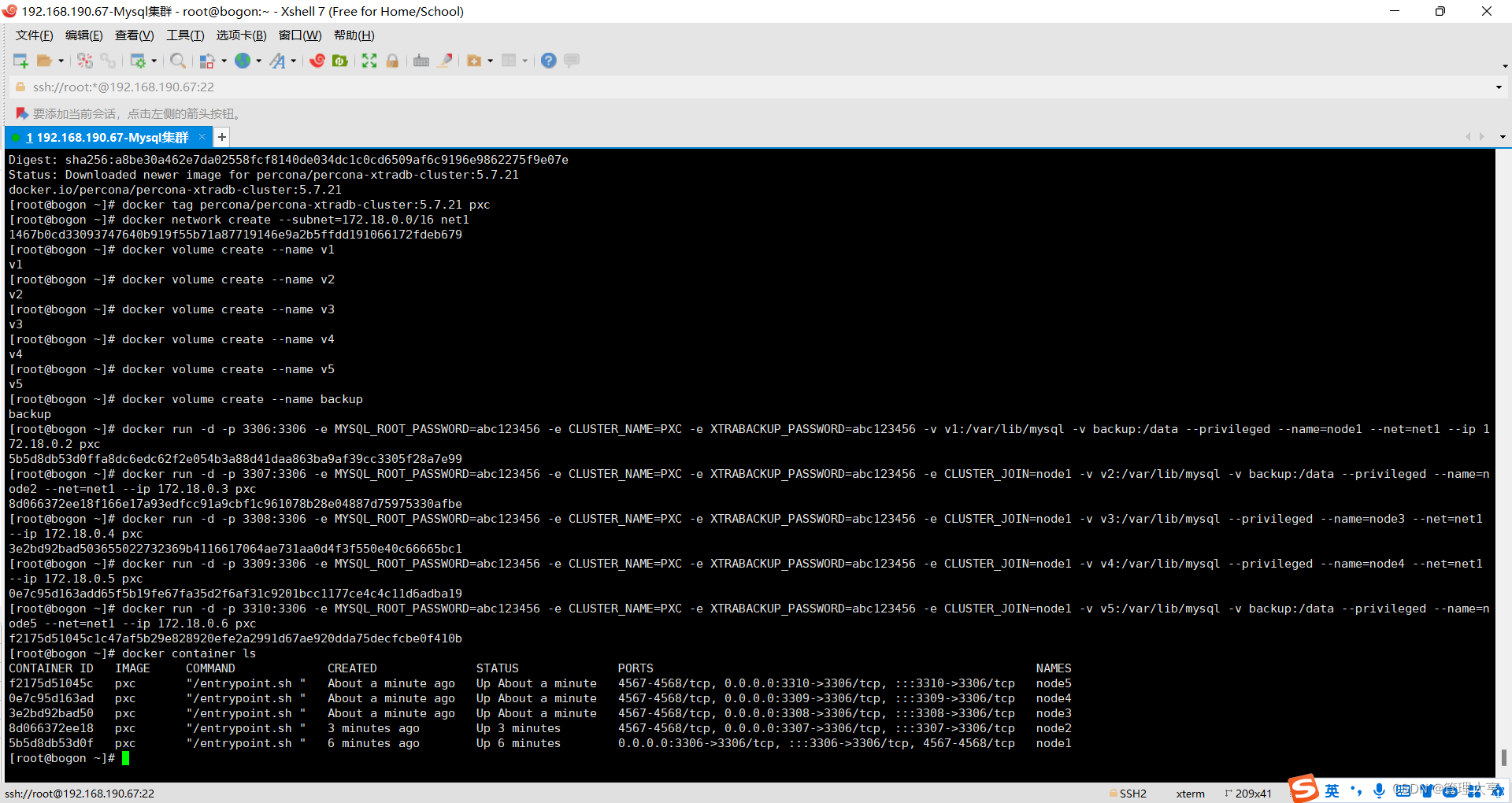 Docker 搭建mysql 集群（二）_percona mysql docker-CSDN博客