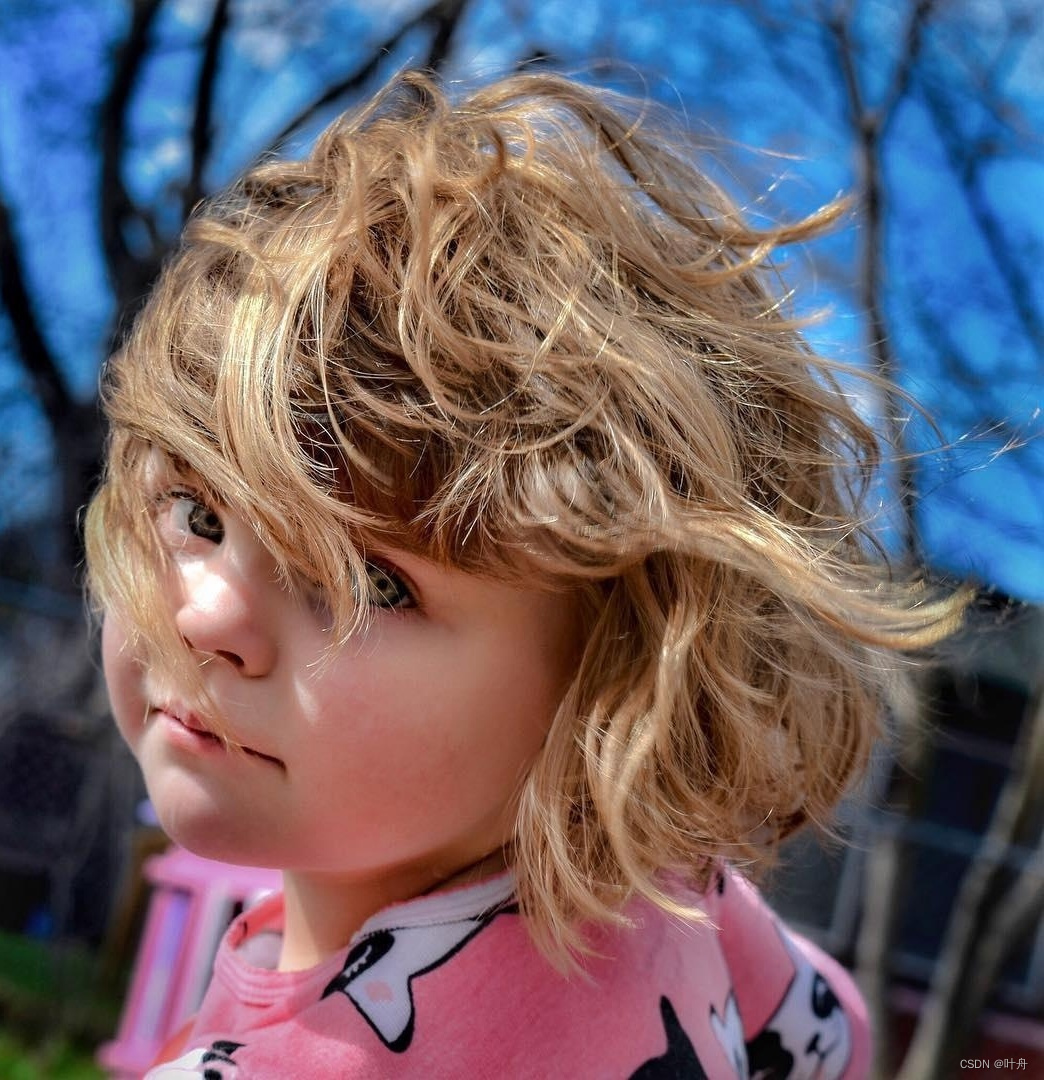 几种常见的Matting数据集【附度盘下载链接】-CSDN博客