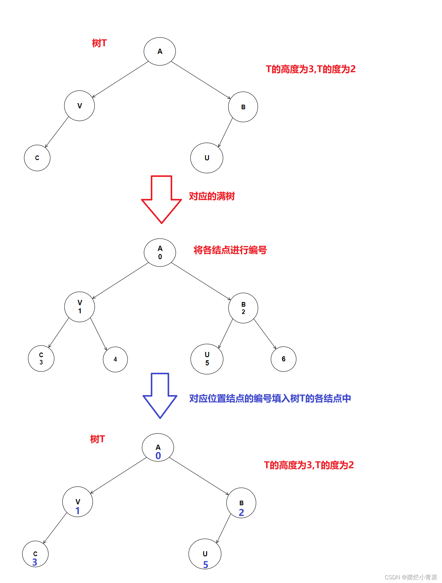 数据结构二叉树概念篇算法基础有向树 Csdn博客