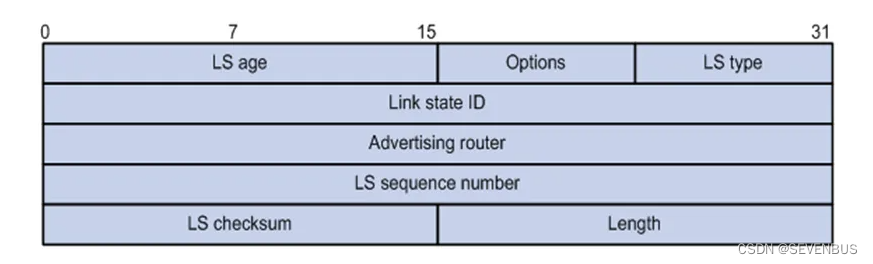 二、OSPFv2 LSA详解_attached router-CSDN博客