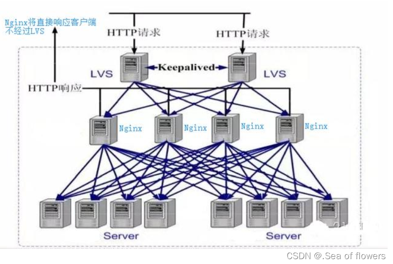 Nginx Proxy代理-CSDN博客