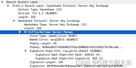 TLS/SSL 详解-CSDN博客