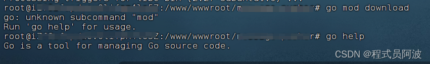 解决“go: unknown subcommand ‘mod‘“错误：一步步指南_go: unknown subcommand "mod-CSDN博客