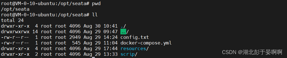 docker-compose 部署 Seata整合nacos,Postgresql 为DB存储_seata postgresql-CSDN博客