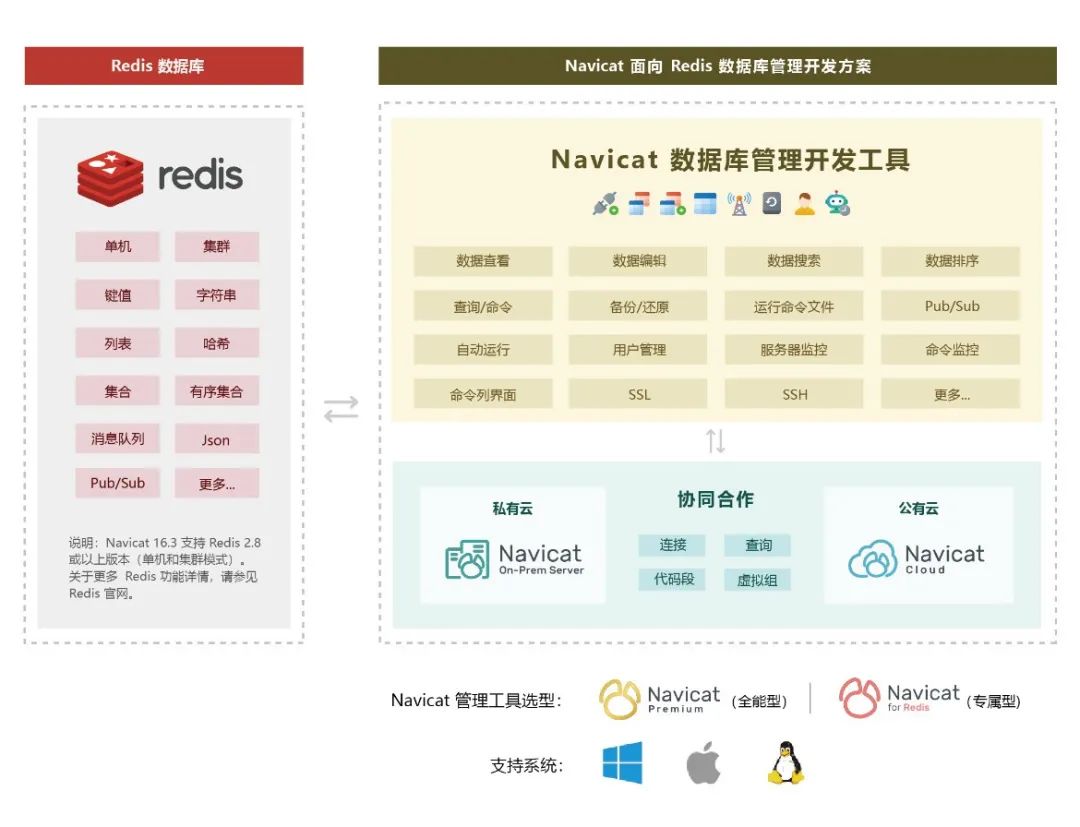 Navicat for Redis 体验官火热招募 | 让 Redis 单机和集群管理更简单_navicat 16.3 支持 redis-CSDN博客