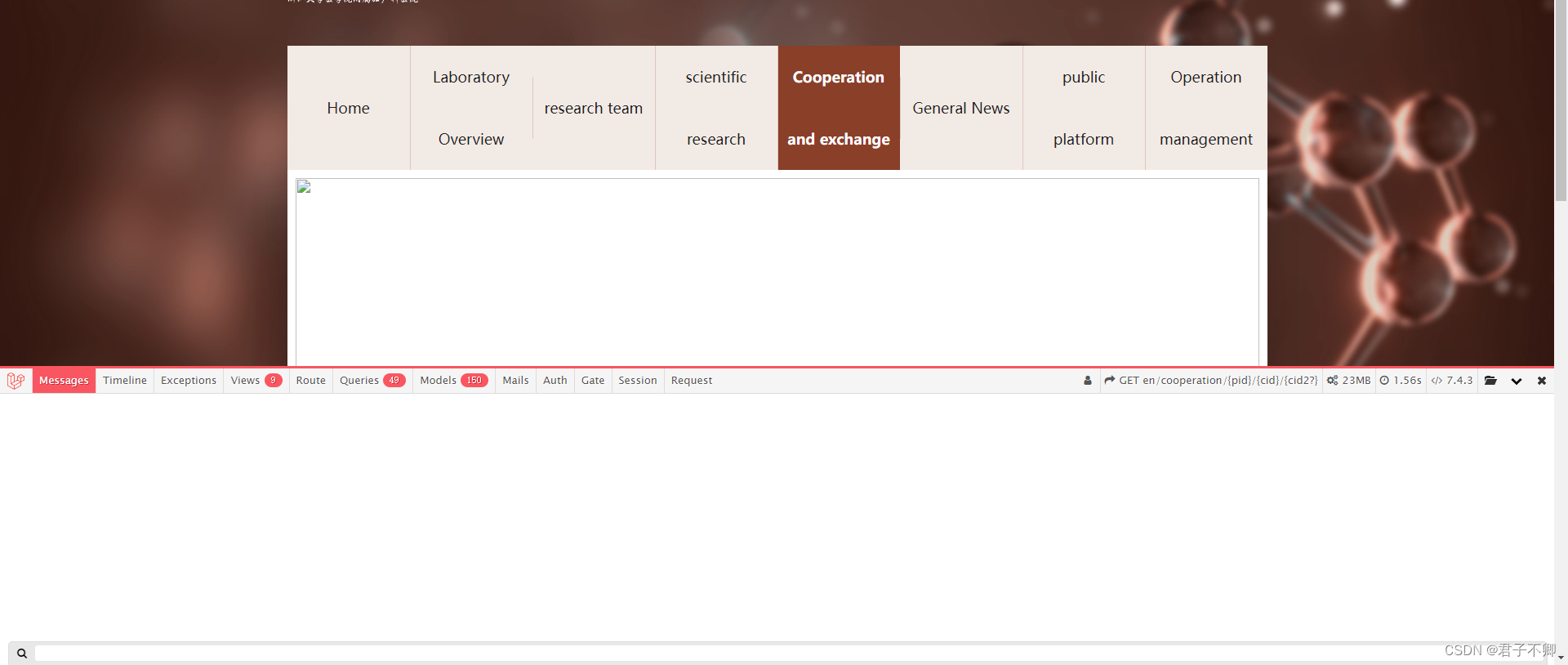 laravel-debugbar_laravel debugbar-CSDN博客