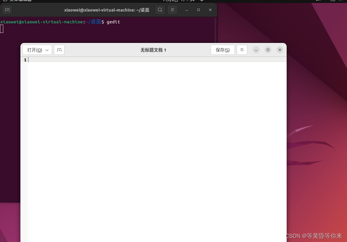 Linux（Ubuntu）操作系统，vi编辑器与gcc编译器的下载与使用（命令参数很详细）_linux下载gcc-CSDN博客