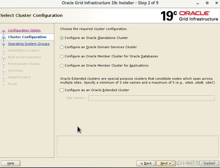 oracle 19c rac搭建详细攻略_oracle19c数据库实例-CSDN博客