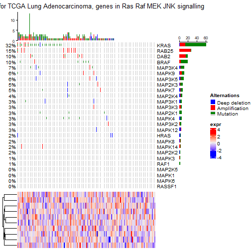 超详细的R语言热图之complexheatmap系列（5）_r complexheatmap 临床特征-CSDN博客