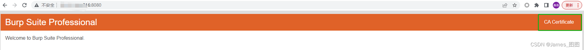Burpsuite+postern 抓取flutter开发的程序包中https请求_postern抓包-CSDN博客
