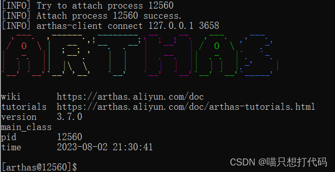 Java 诊断工具 arthas-boot 安装步骤及常用命令-CSDN博客